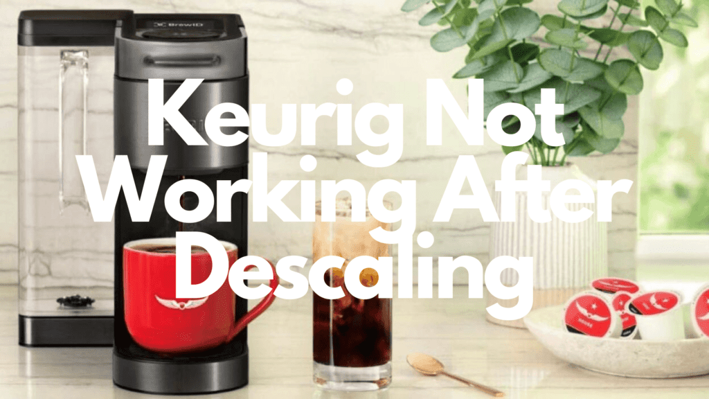 Keurig Not Working After Descaling | The Complete Guide Keurig Not Working After Descaling | The Complete Guide